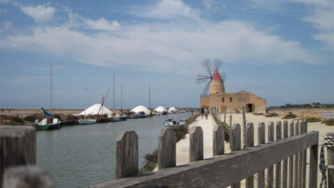 Histoires de sel - Sels de France – Acteurs et producteurs